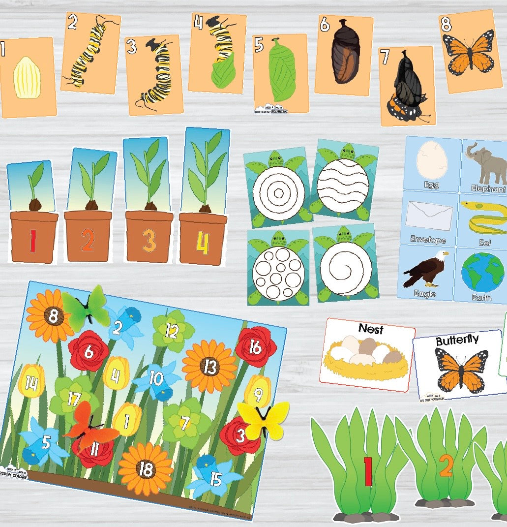 Preschool Curriculum – Lil Dreamers Dream Big